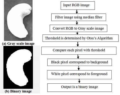 Shows Segmentation Steps And Output Download Scientific Diagram