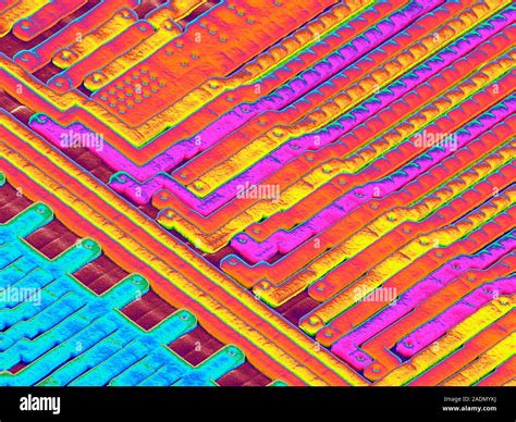Microchip Surface Coloured Scanning Electron Micrograph Sem Of A Few