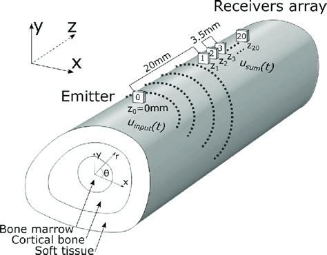 Schematic Of The Equivalent 3d Axial Transmission Configuration Used To