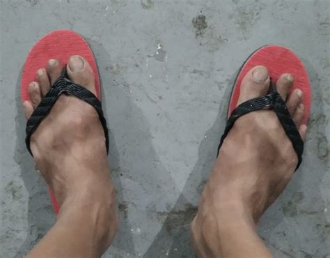 Panitikang Pangkalikasan Paltos At Bagong Tsinelas