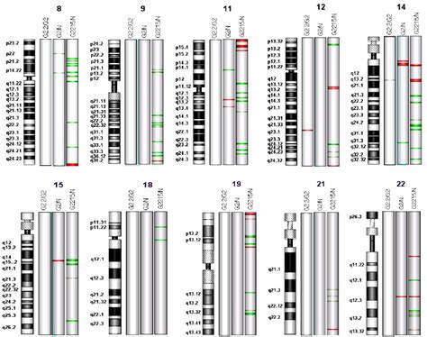 Comparison Of Copy Number Aberrations In Cell Lines Download Scientific Diagram