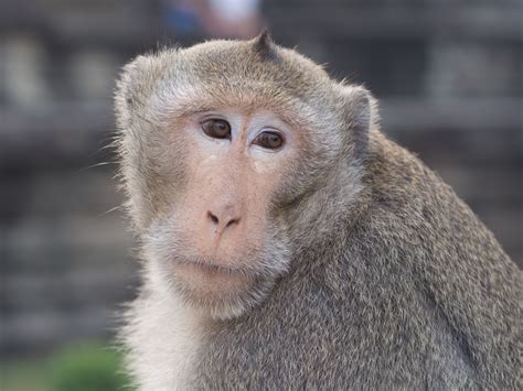 Photography • Rayhan Hasan