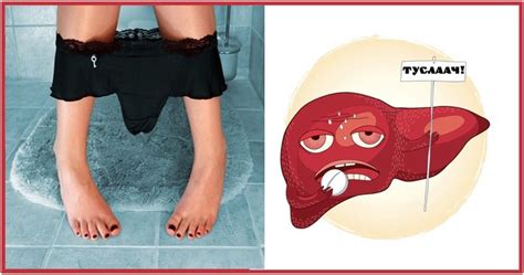 Таны элэг юунаас болоод өвчилдөг вэ Ospring Technology And Development Llc