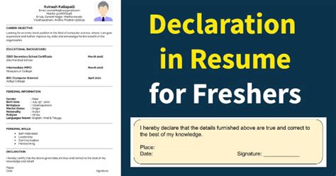 Declaration In Resume G4fdi89dep