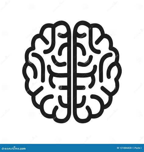 Human Brain Icon Vector Stock Vector Illustration Of Training