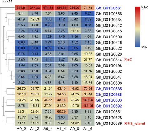 rna seq analysis between mutant and wild fpkm is used for expression