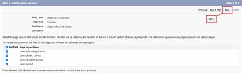 BEGINS Function In Salesforce