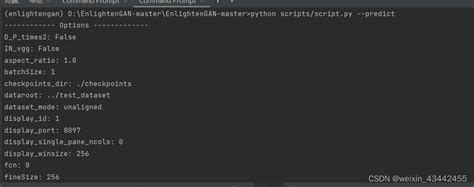 enlightengan测试指南 csdn博客