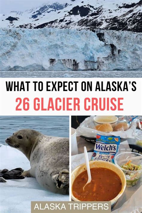 26 Glacier Cruise Review In Whittier Alaska Alaska Travel Cruise