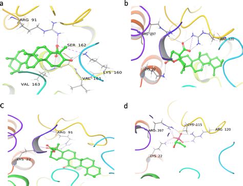 3d Docked Poses Of Hits At The Mura Binding Sites Of E Coli