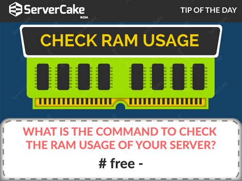What Is The Command To Check The RAM Usage Of Your Server