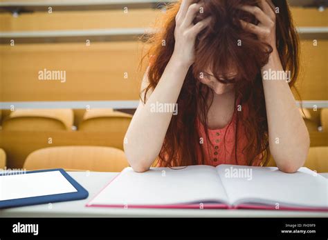 Mature Babe In Lecture Hall Stock Photo Alamy