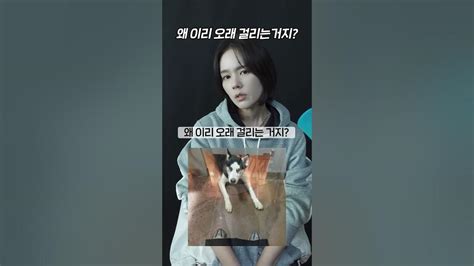 왜 이리 오래 걸리는 중이지‘ 영어로 Youtube