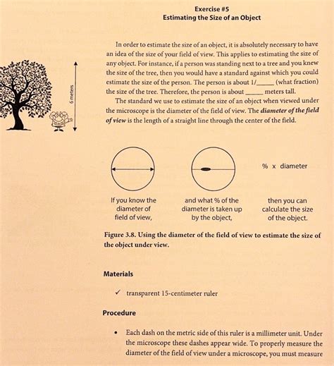Solved Exercise 5 Estimating The Size Of An Object In Order Chegg Com