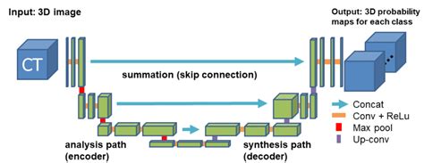 Deep Learning In Medical Imaging 3d Medical Image Segmentation With Pytorch Ai Summer