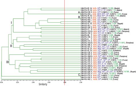Dendrogram Resulting From Analysis Of Eric Pcr Performed On Isolates Of