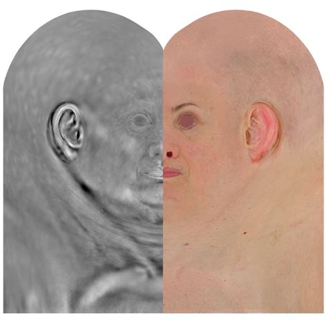 Female 18 Hd Displacement Map