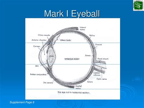 Ppt Collision Avoidance Procedures Powerpoint Presentation Free Download Id 614676