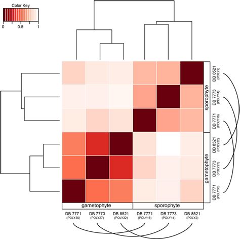 Heat Map Showing The Hierarchically Clustered Euclidean Distance Matrix