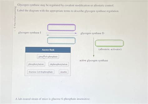Solved Glycogen Synthase May Be Regulated By Covalent