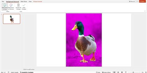 Easily Remove Background From Image In PowerPoint Photoroom