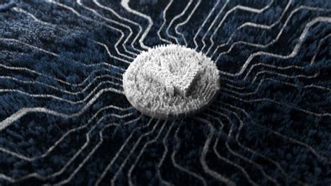 Shape Memory Textiles