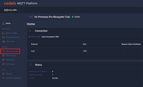 how to use the paho mqtt client library in a rust project