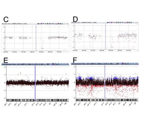 High Resolution Microarray Scanner Used To Compare Cgh Labeling Methods Enzo