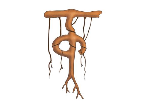 Dsource Banyan Tree Letterforms Transformations Dsource Digital