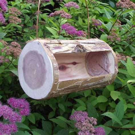 Tree Branch Bird Feeder At Jimmy Coats Blog