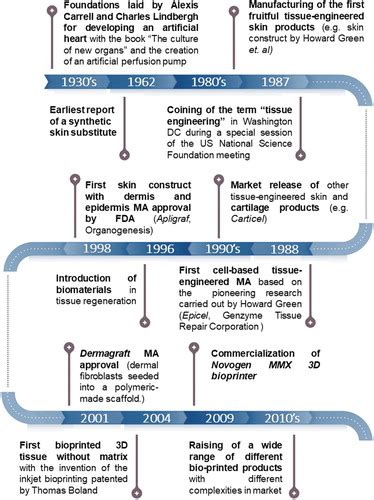 Cell And Tissue Engineering