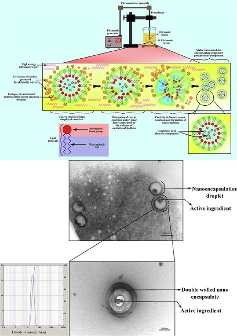 Effect Of Ultrasonication On Droplet Size Of Emulsion Download