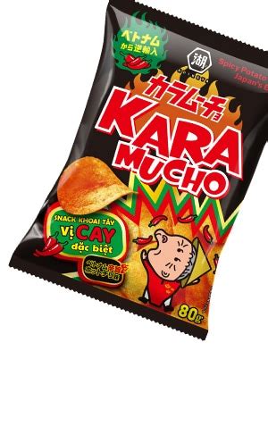 完全メシカラムーチョ 辛旨！スパイスカレー カラムーチョ 公式通販 湖池屋オンライン
