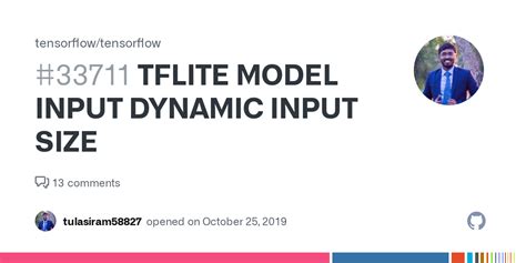 Tflite Model Input Dynamic Input Size · Issue 33711 · Tensorflow
