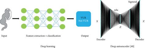 Deep Learning Deep Autoencoder Download Scientific Diagram