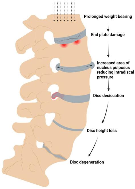 Bioengineering Special Issue Advanced Manufacturing And Biomaterials For Tissue Engineering