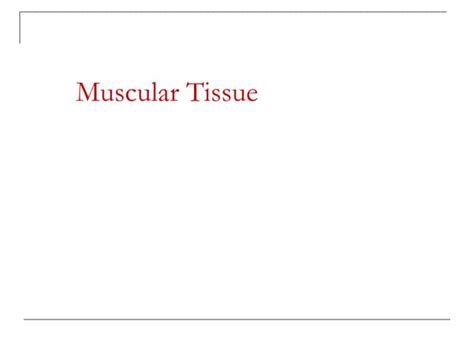 Muscle Structureandfunction Ppt Biological Sciences Science