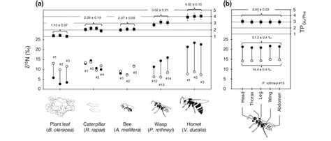 Nitrogen Isotopic Compositions Of Glutamic Acid Filled Circles And Download Scientific