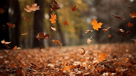 Fall Background Falling Leaves Free Fall Wallpaper Picture Of Falling Leaves Fall Background