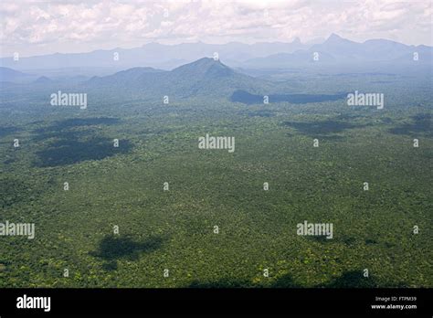 Aerial View Of The Amazon Forest In The Pico Da Neblina National Park