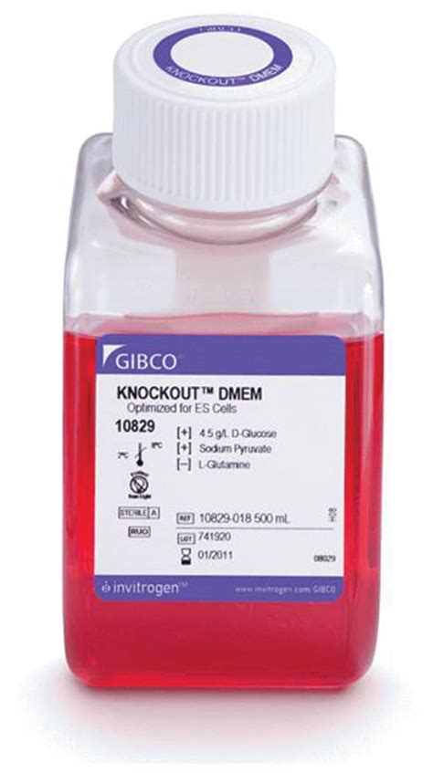 Dmem Recipe Gibco Bryont Rugs And Livings