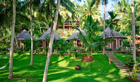 Somatheeram Ayurveda Resort Review My Retreat