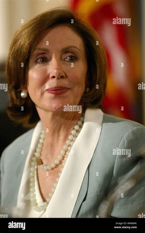 Nancy Pelosi Bathing Suit