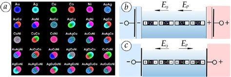Unary Binary Ternary And Quaternary Types Of Nanoparticles Download Scientific Diagram