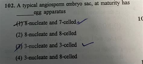 A Typical Angiosperm Embryo Sac At Maturity Has Qquad Egg Apparatus 1
