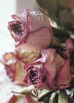 Dried Roses Drying Roses Pearl And Lace Oil Painting Flowers