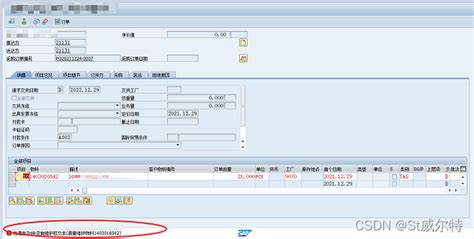 Sap常见报错集锦 Sdsap Mrp要素的文本vh没有以语言zh来维护 消息号ag290 Csdn博客