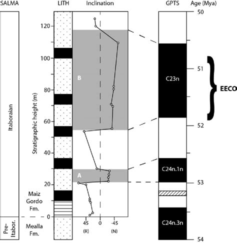 3 Age Interpolation Model Based On Magnetostratigraphic Boundaries And
