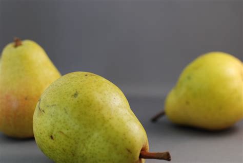 What Is The Difference Between Open And Closed Composition At Roberto Sherrill Blog