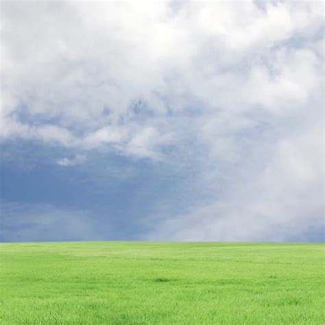 [video] Ravi Gowda Posted On Linkedin